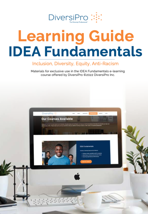 IDEA Fundamentals – DiversiPro Learning Workshops